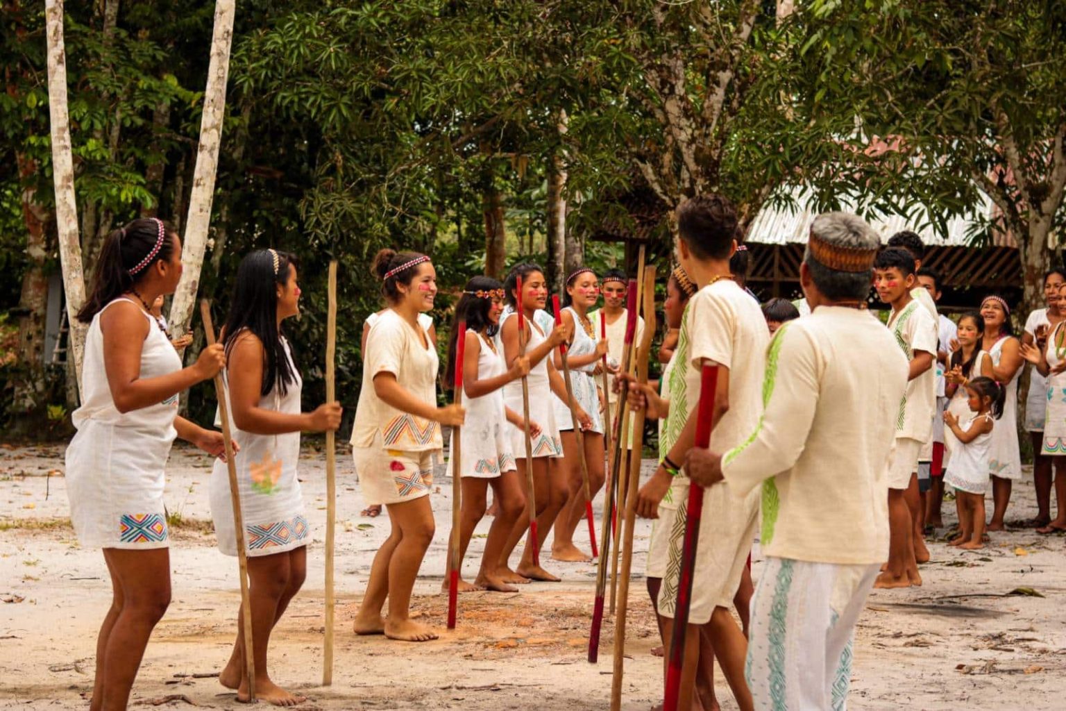 Dia da Amazônia: curiosidades sobre a maior floresta tropical do mundo ...