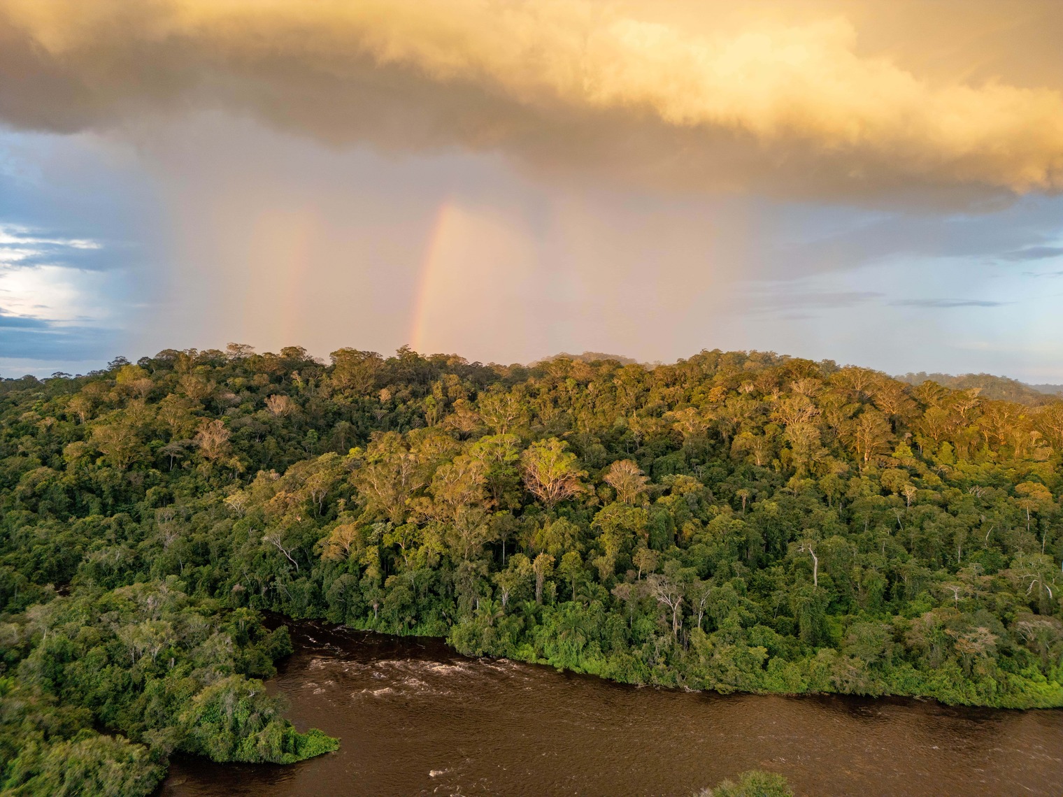 A Amazônia na COP30 - FAS - Fundação Amazônia Sustentável