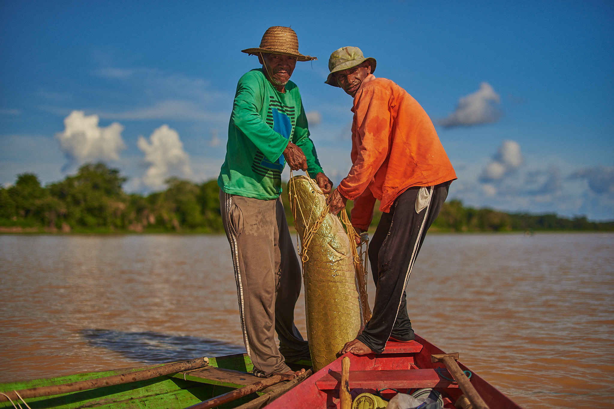 Nova edição de Feira do Pirarucu terá 6 toneladas de pescado para venda ...