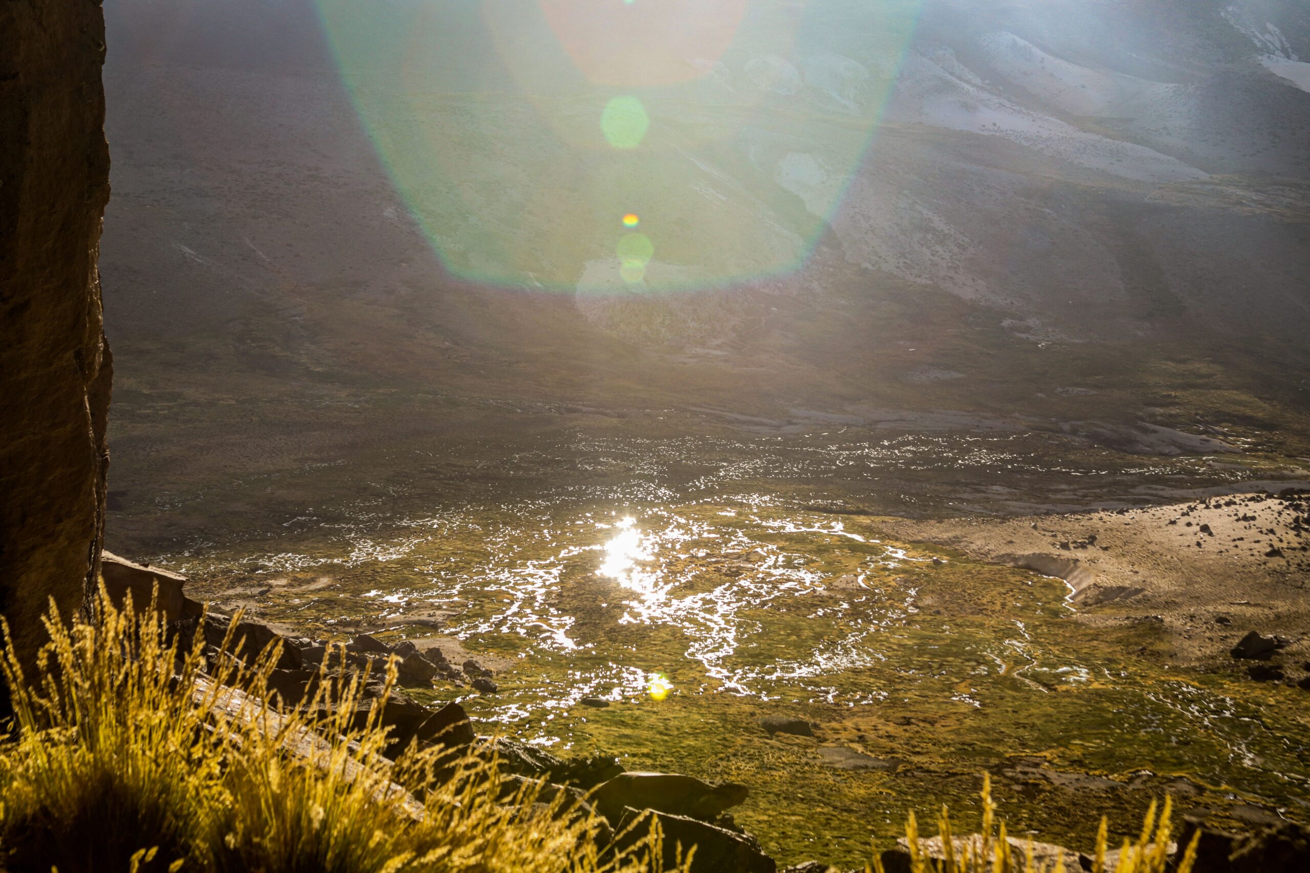 Fundação Amazônia Sustentável lança documentário sobre a conservação em ...